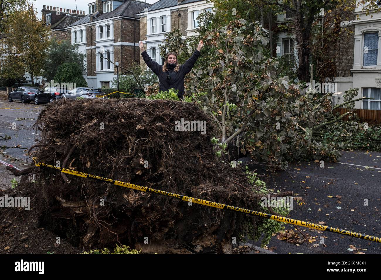 trees falling in Islington, london Stock Photo - Alamy