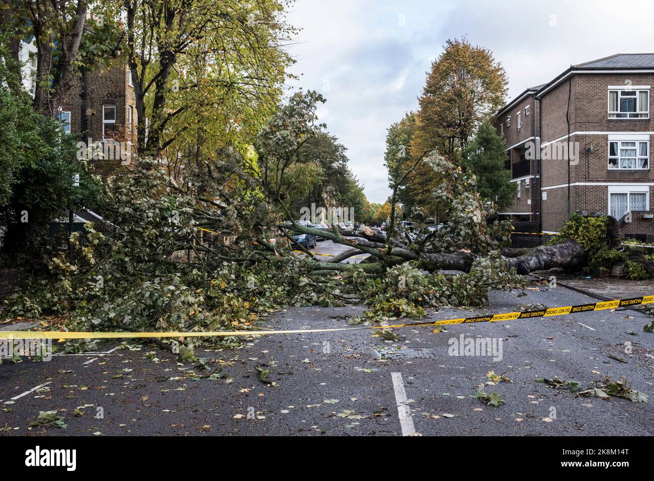 trees falling in Islington, london Stock Photo - Alamy
