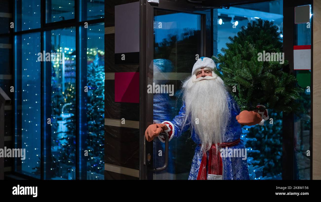 Russian Santa Claus bought a Christmas tree on New Year's Eve Stock ...