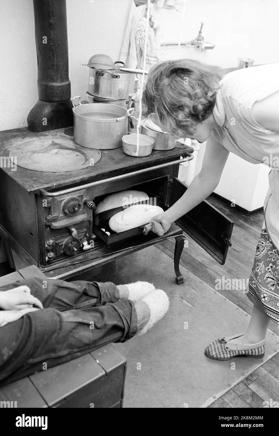 Finse, Slirå, August 29, 1959. The Runnke family around Finse. Here ...