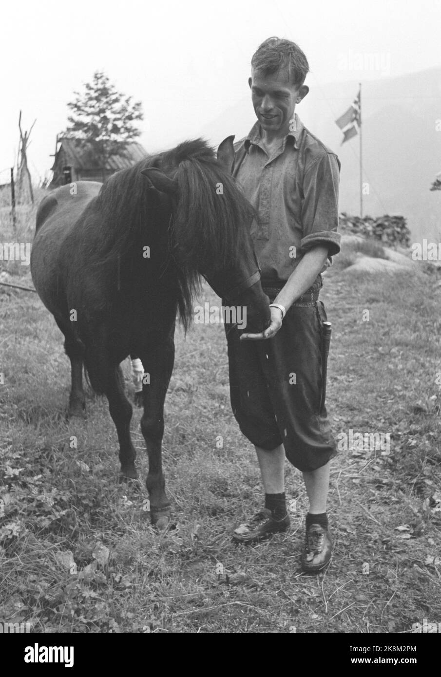 Sverre a borretzen current ntb peasants horses families hi-res stock photography and images - Alamy