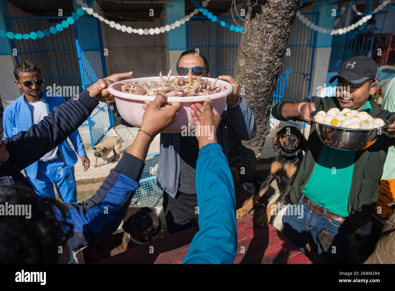 Kathmandu, Nepal. 24th Oct, 2022. Staff members of the dog care center ...