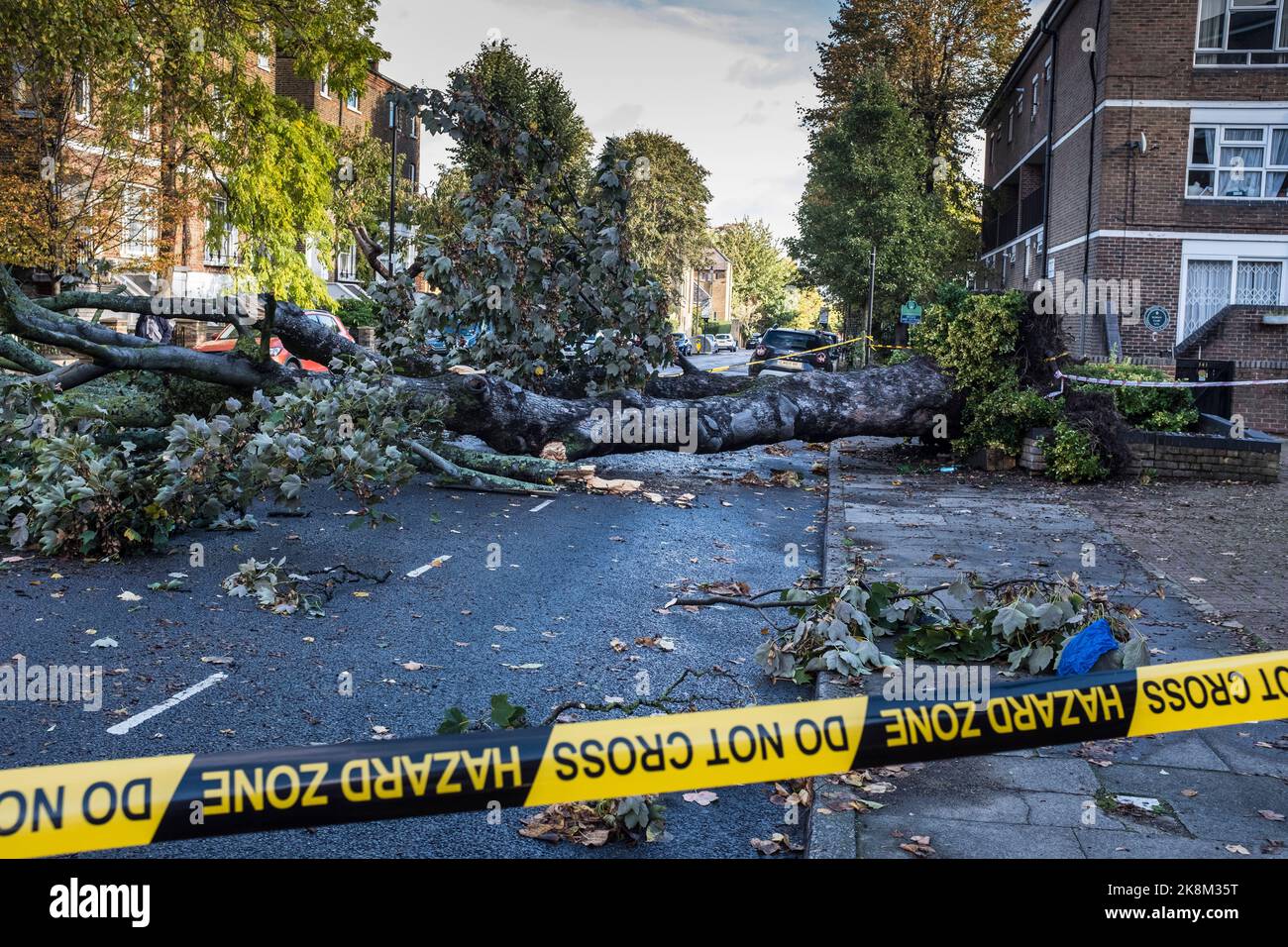 trees falling in Islington, london Stock Photo - Alamy