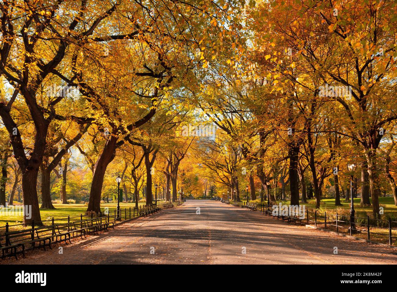 Poet's Walk promenade in Central Park in full autumn foliage colors ...