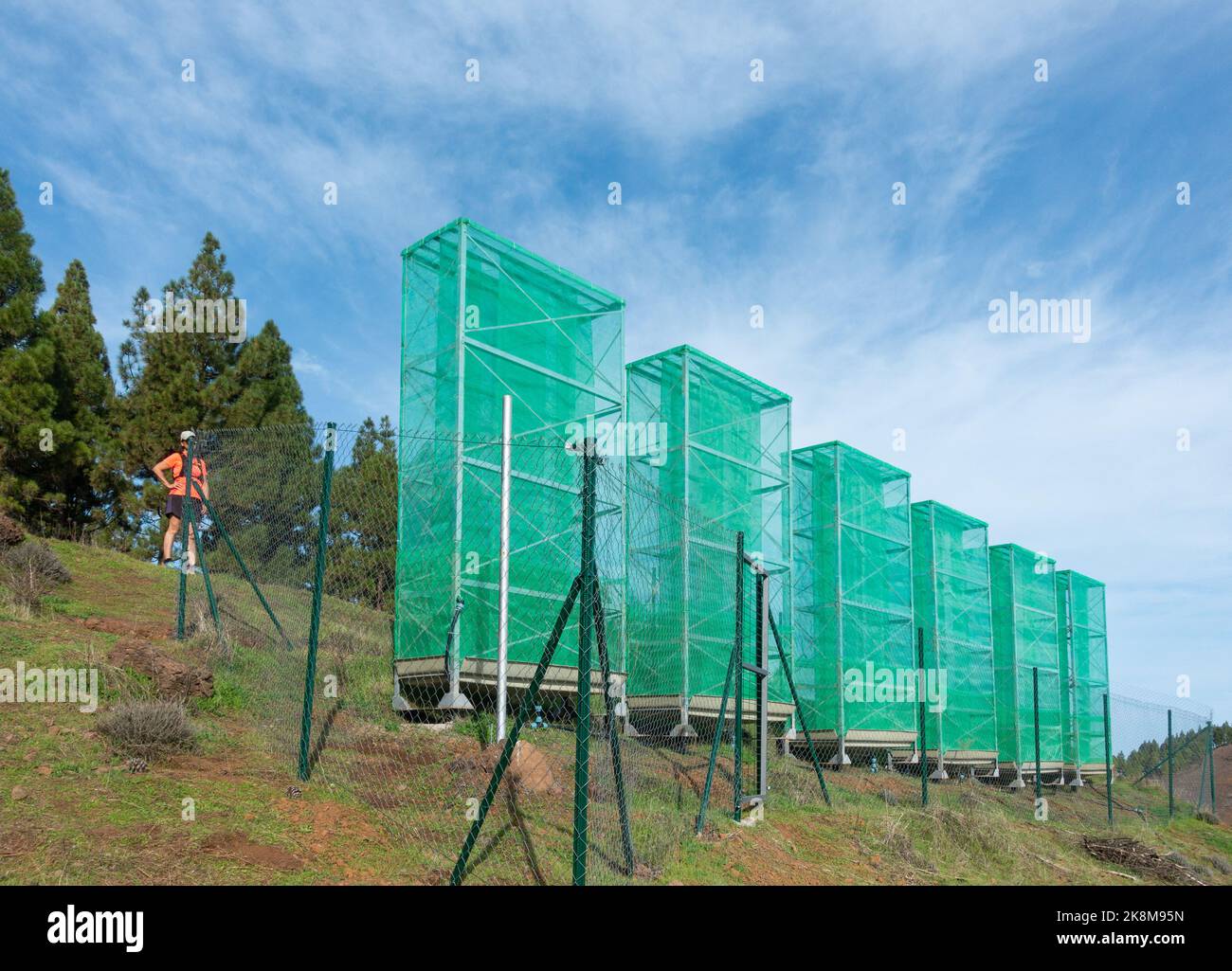 Cloud harvesting, fog catching nets, netting used to collect water from ...