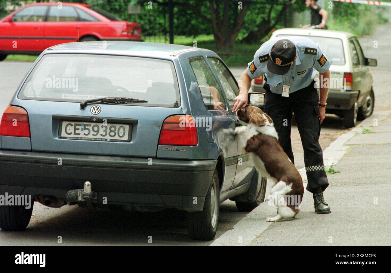 Police officer with a dog examines the car of the married couple Anne ...