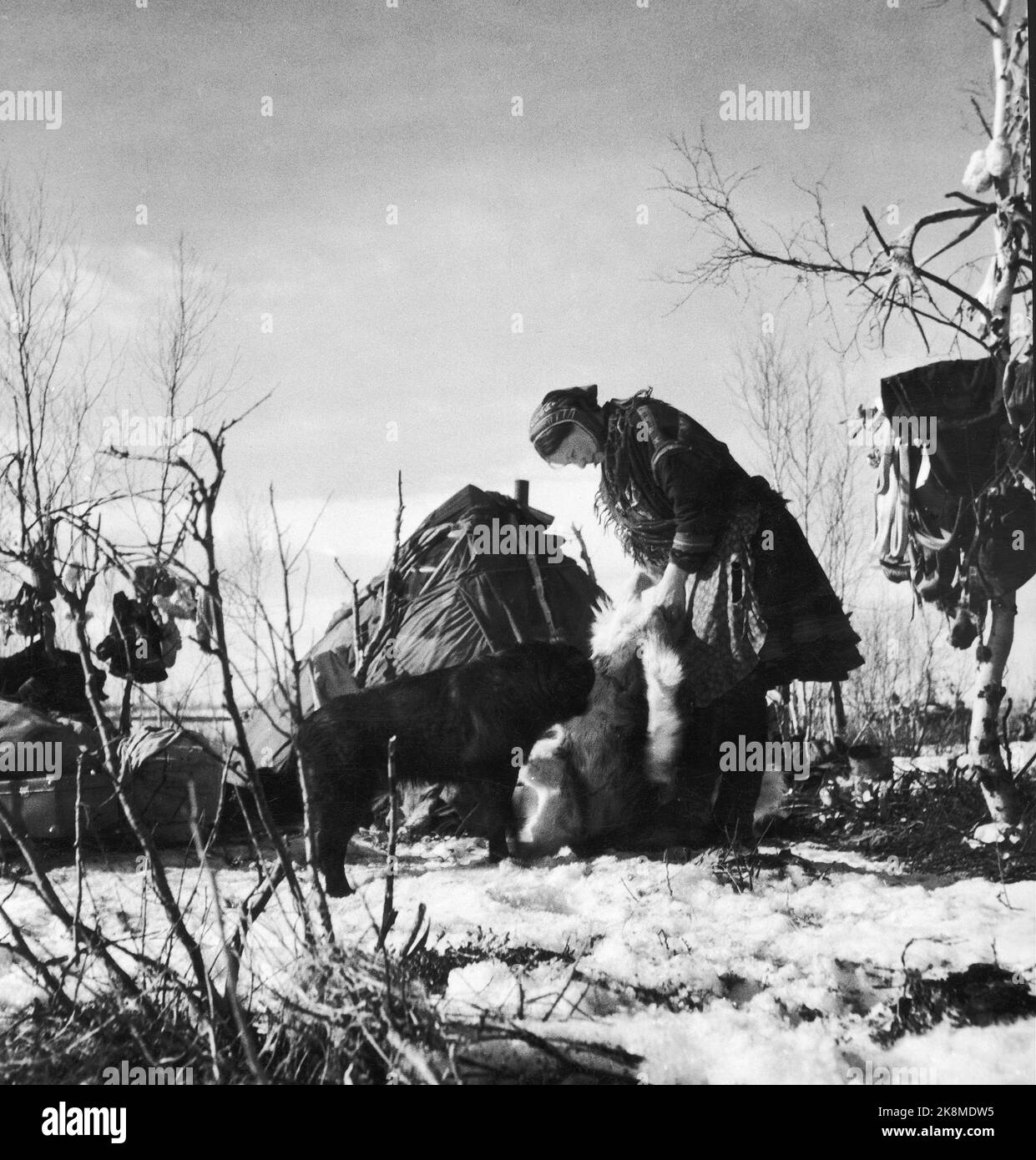 Kautokeino 1948 The Sami fetches houses. Recovery of small same villages on Finnmarksvidda after ...