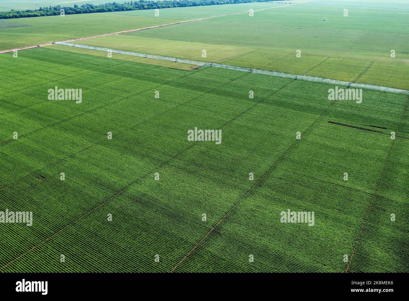 Aerial shot potato field in hi-res stock photography and images - Alamy