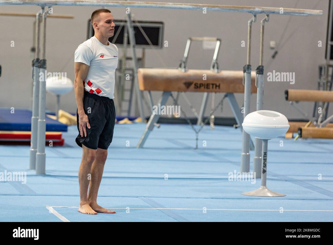 Croatian gymnast Aurel Benovic show his skills before the press ...