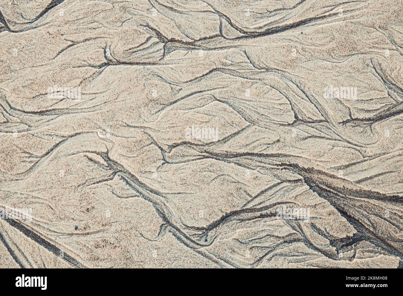 Patterns of curved lines formed in the sand by runoff water. abstract ...
