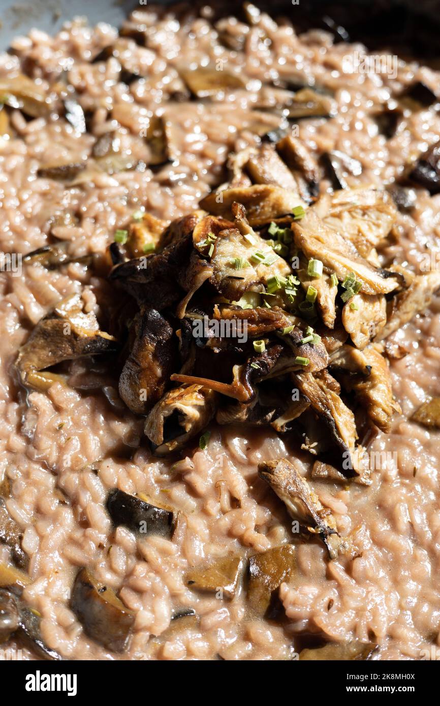 wild mushroom red risotto in a bowl made of which bolete decorated with ...