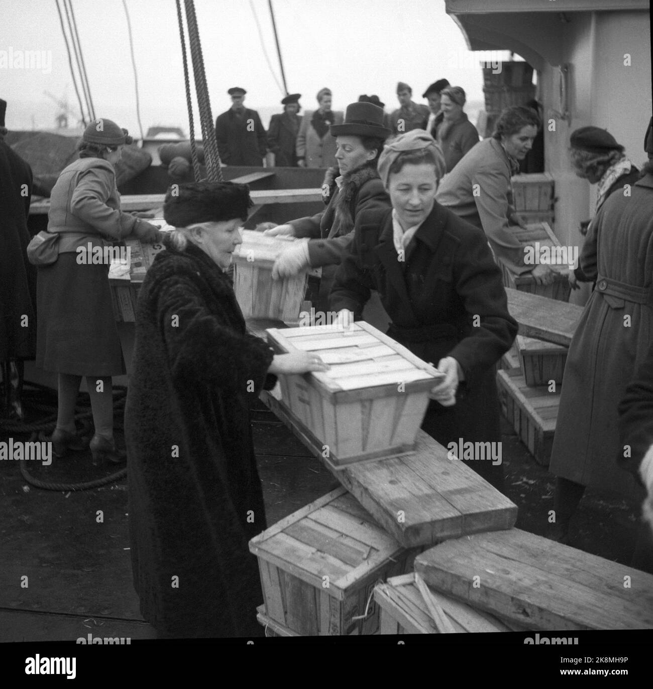 Sympathetic strike hi-res stock photography and images - Alamy