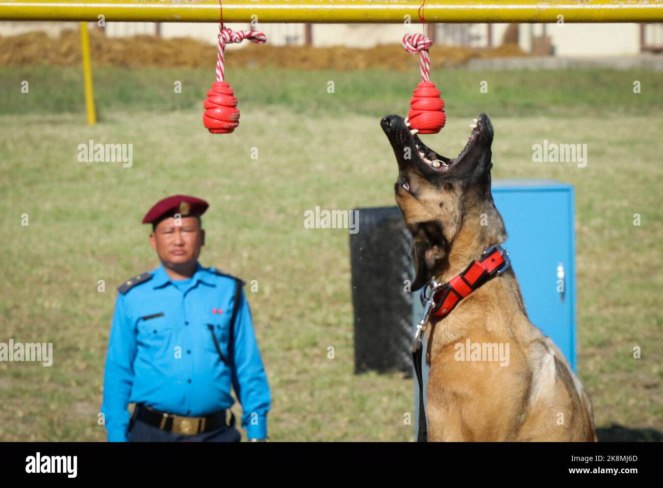 Indian Police Dog Training