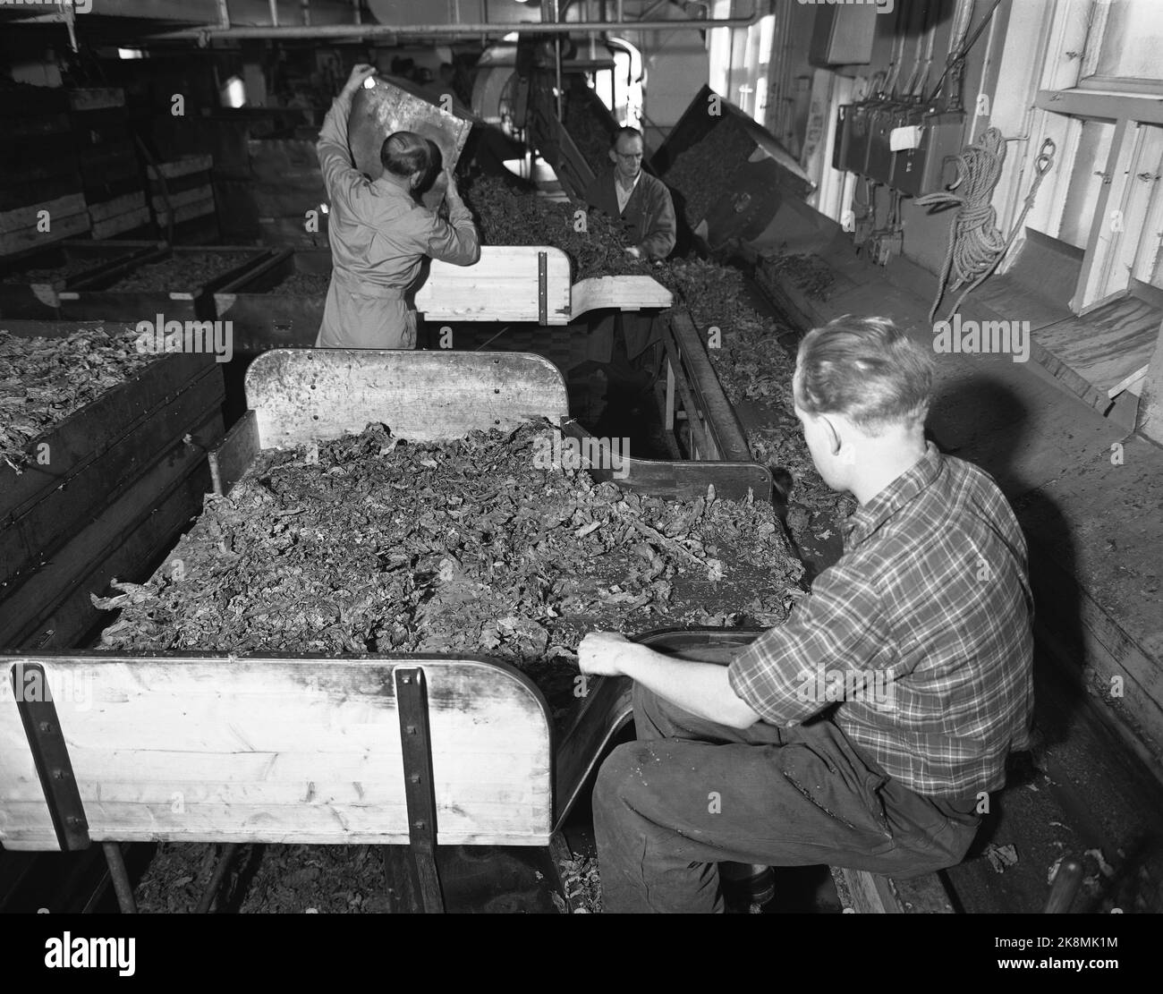 19550305 hi-res stock photography and images - Alamy