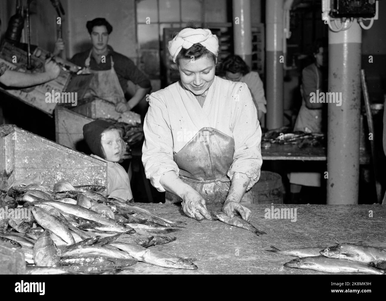 19510130 hi-res stock photography and images - Alamy