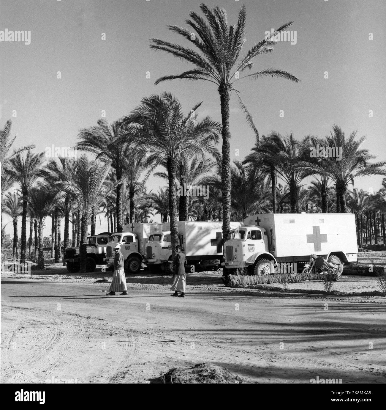 Gaza strip near hi-res stock photography and images - Alamy