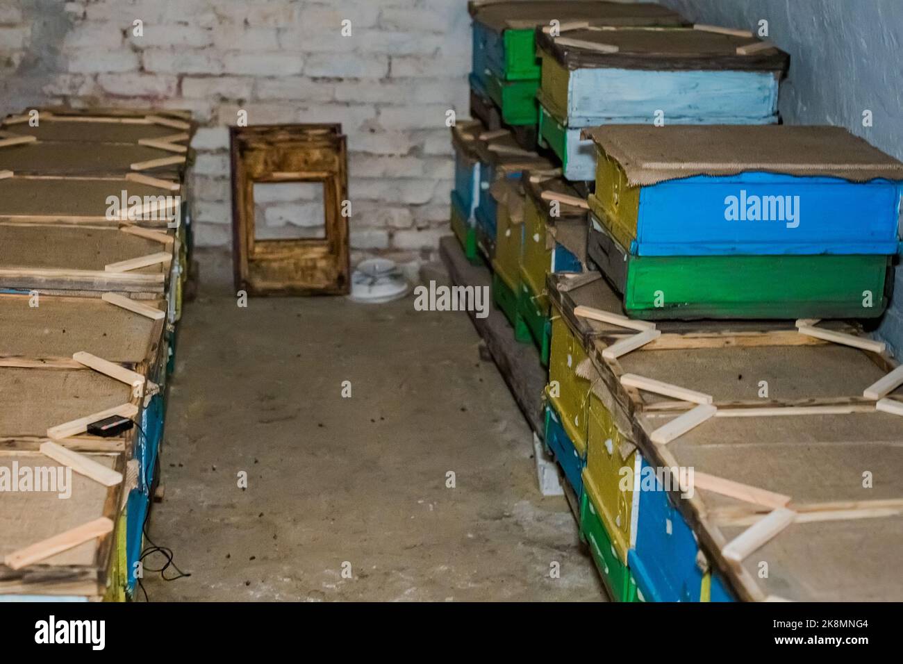 Omshanik (winter house) in apiary, a special room for wintering bees ...