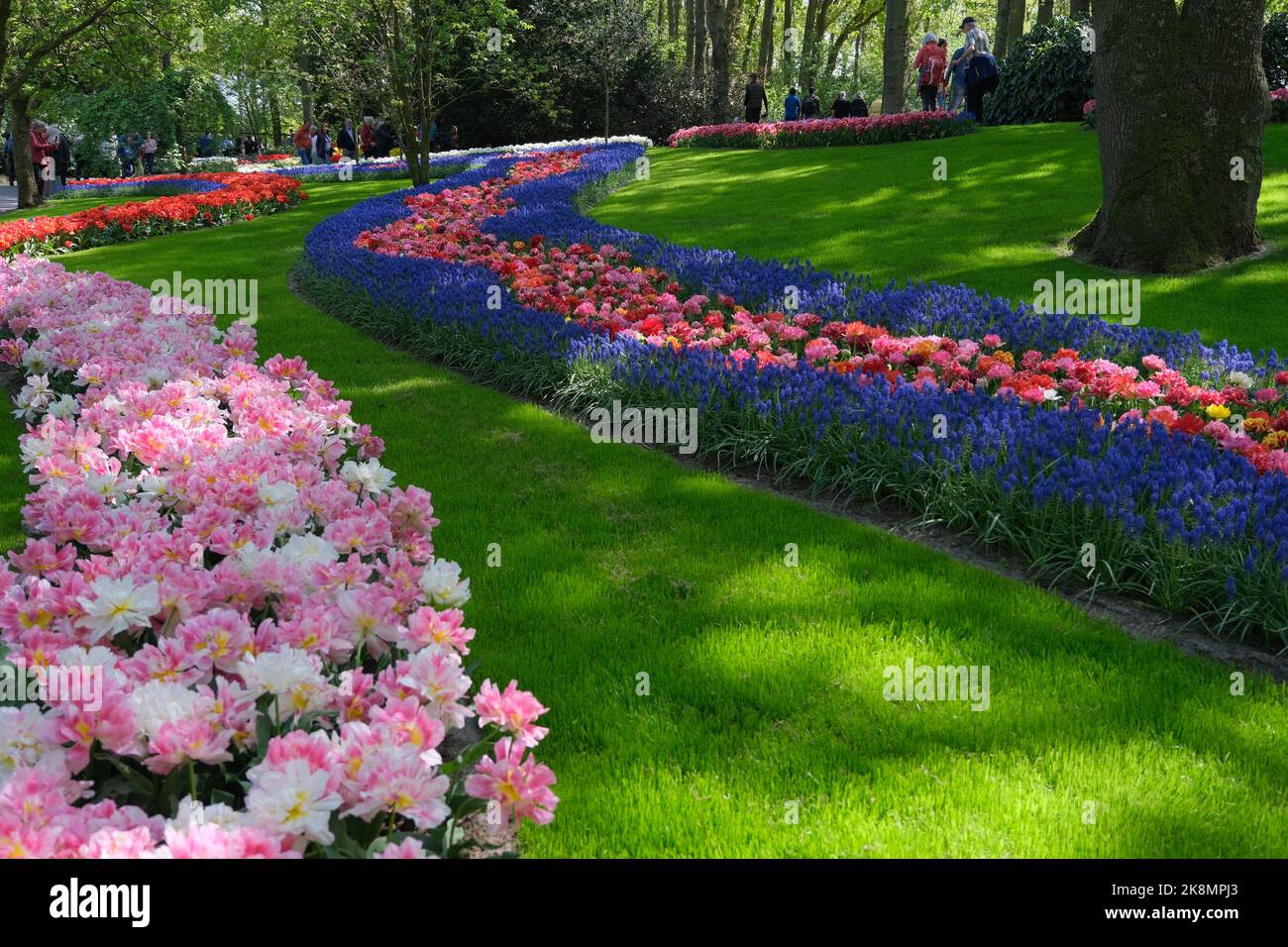 The beautiful garden with colorful flowers. Lisse, Netherlands Stock ...
