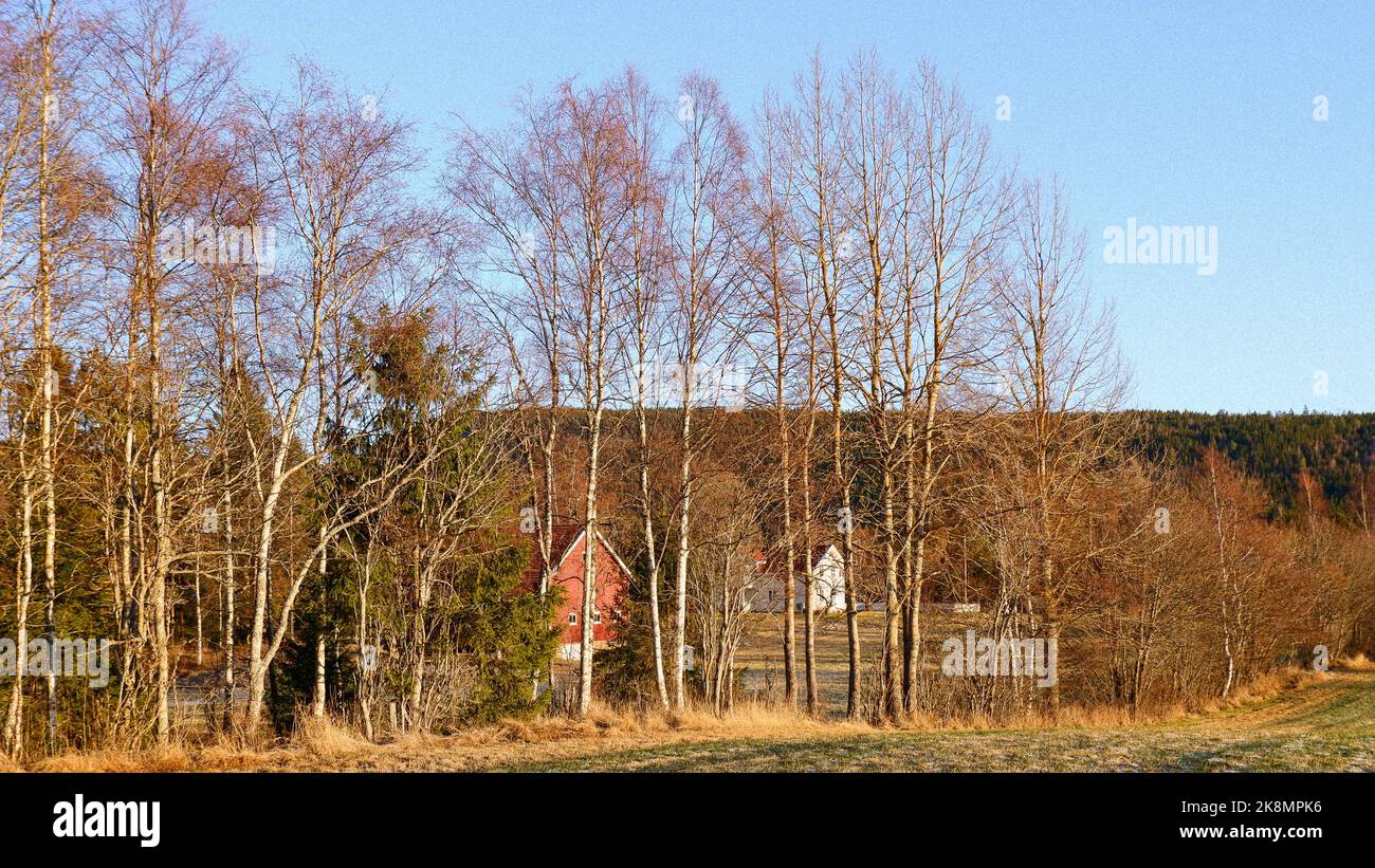 Grue farm in Hurdal Stock Photo - Alamy