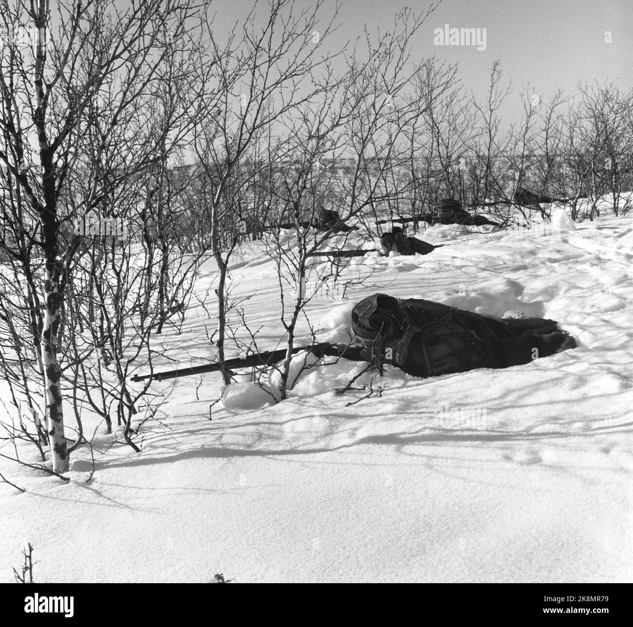 Finnmark 1952. Sami home defense soldiers on reindeer patrol exercise ...