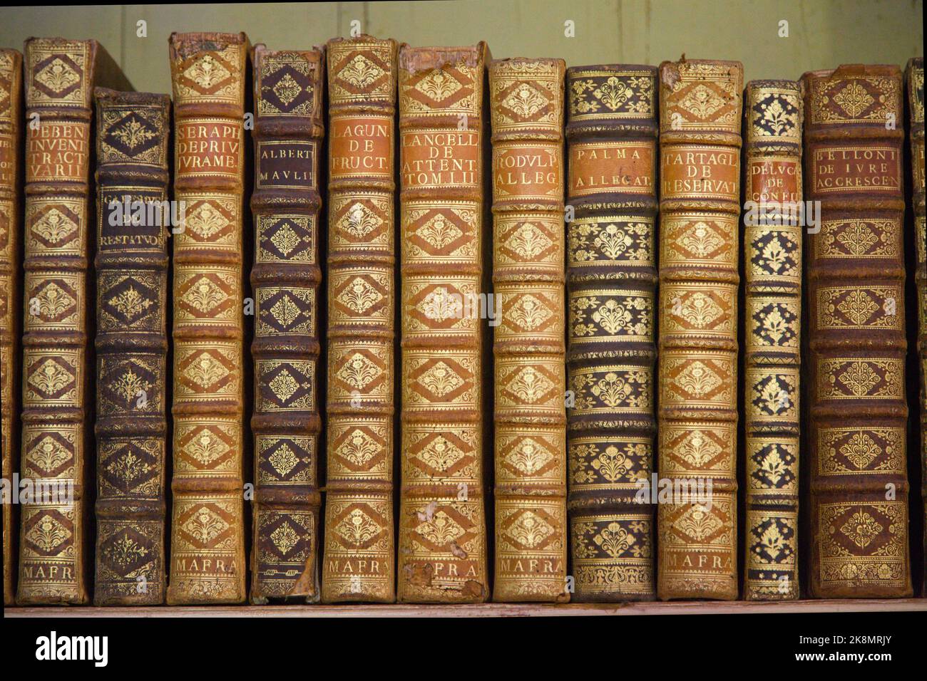 Portugal, Mafra, National Palace, interior, library Stock Photo - Alamy