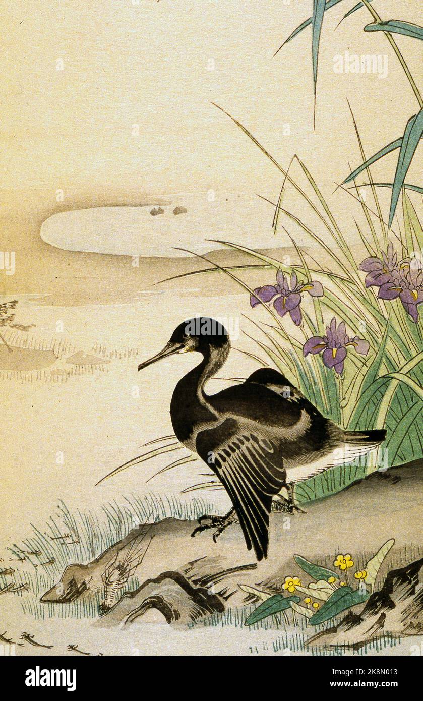 'A selection of fables by La Fontaine illustrated by a group of Tokio's ...