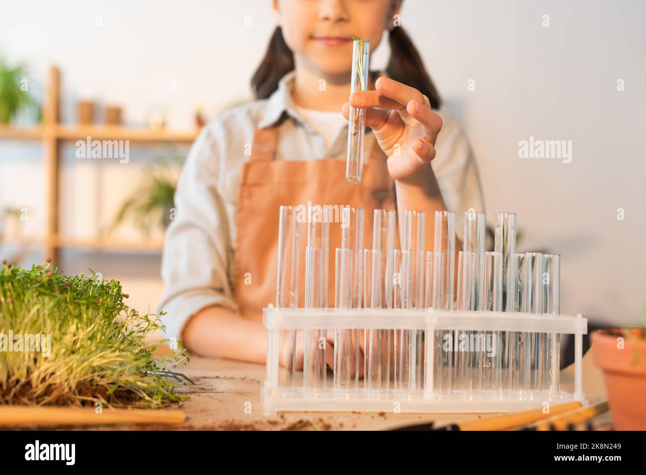 Holding glass tubes of soil hi-res stock photography and images - Alamy