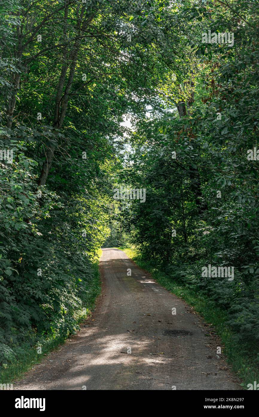 Image from the pilgrim route to Nidaros, on the parcel between Hoff ...