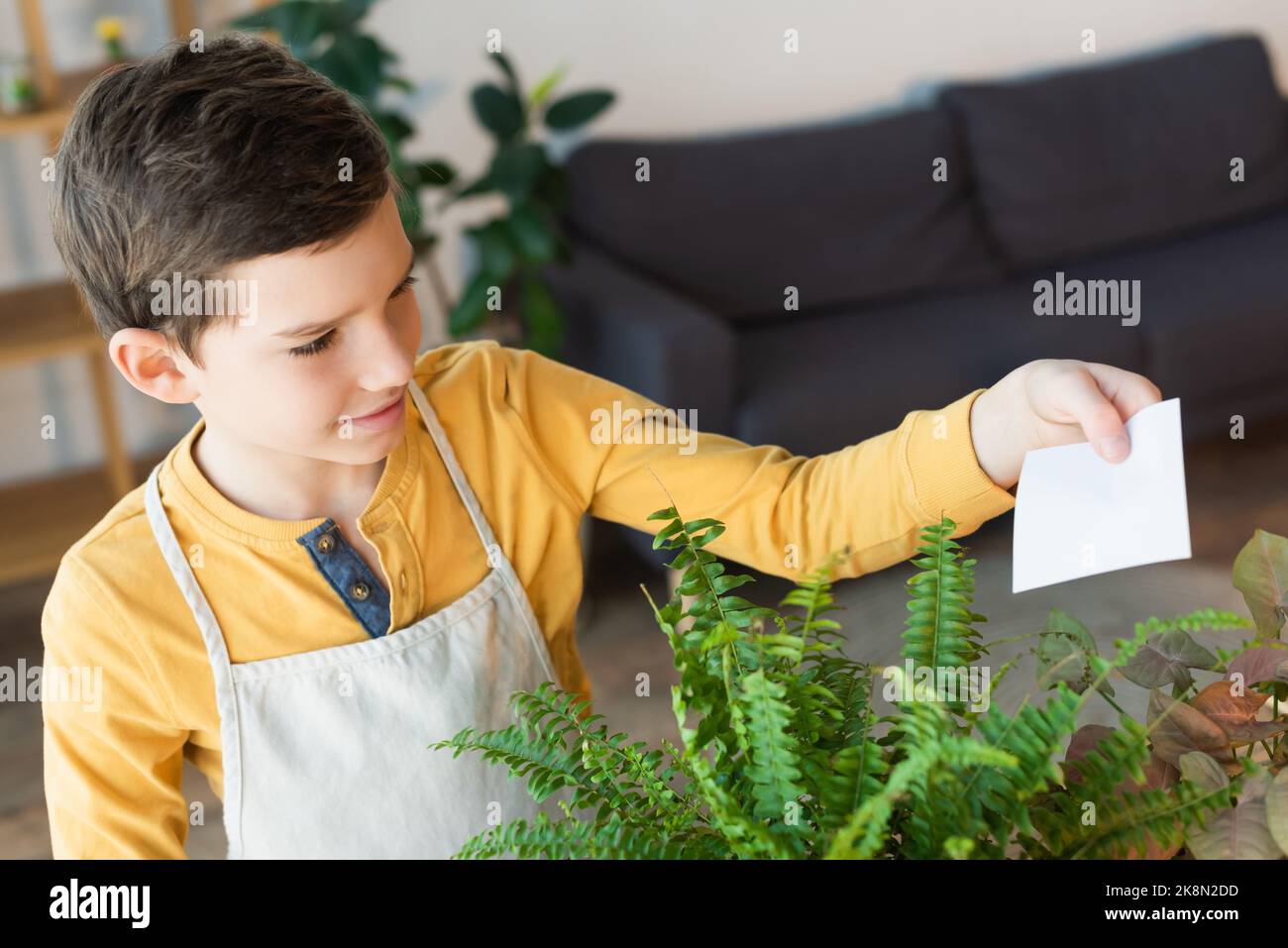 Person holding sticky note hi-res stock photography and images - Alamy