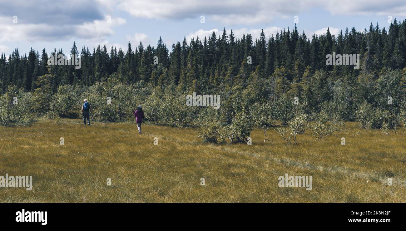 Hiking in the TotenÃ¥sen Hills, Norway Stock Photo - Alamy