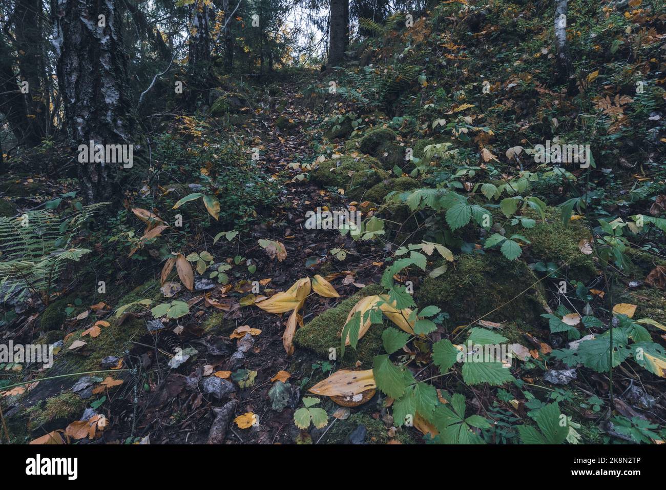 Filosofisti hi-res stock photography and images - Alamy