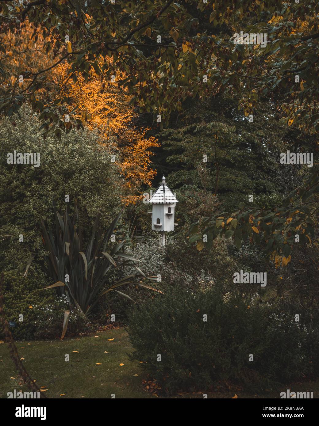 A handmade white bird house surrounded by green vegetation in a natural ...