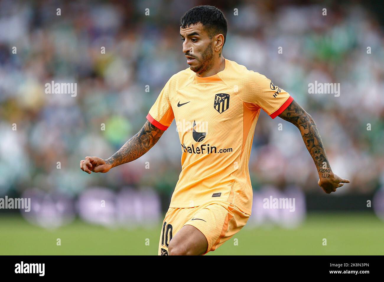 Angel Correa of Atletico de Madrid during the La Liga match between ...