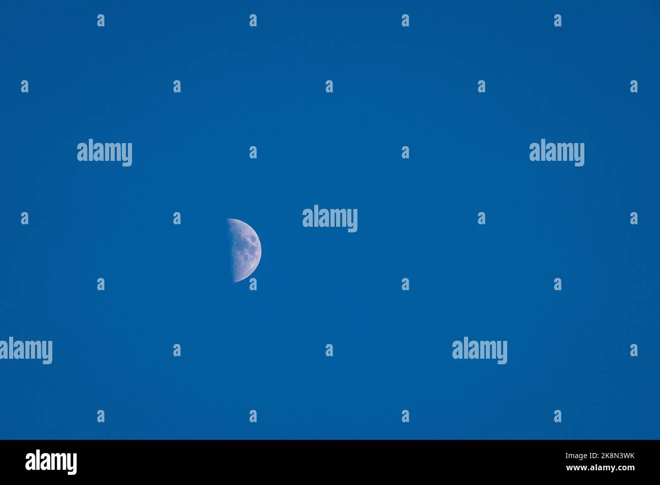 the moon cut exactly in half contrasted by a dark blue sky an early ...