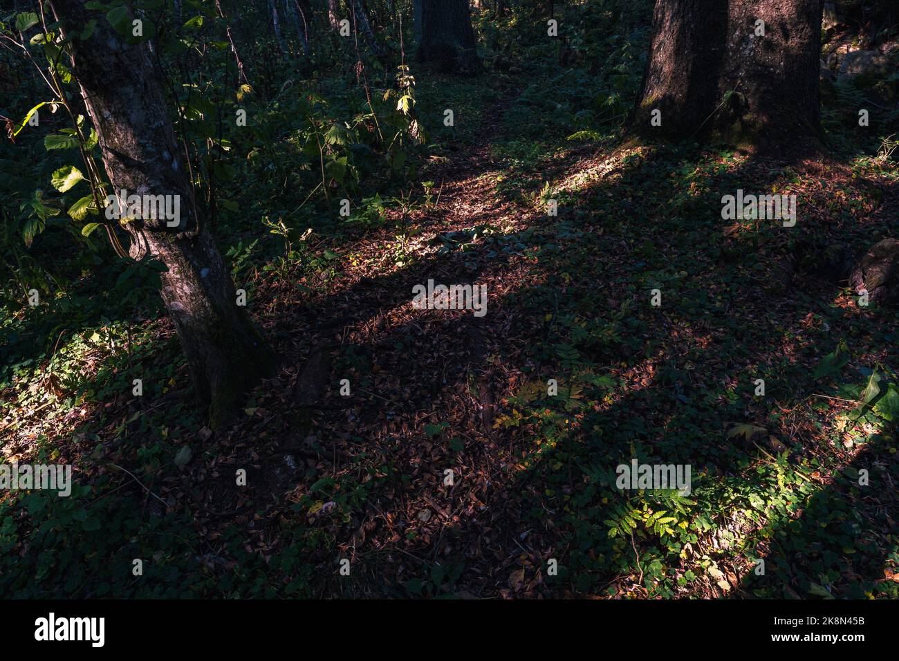a path in the valley Stock Photo - Alamy