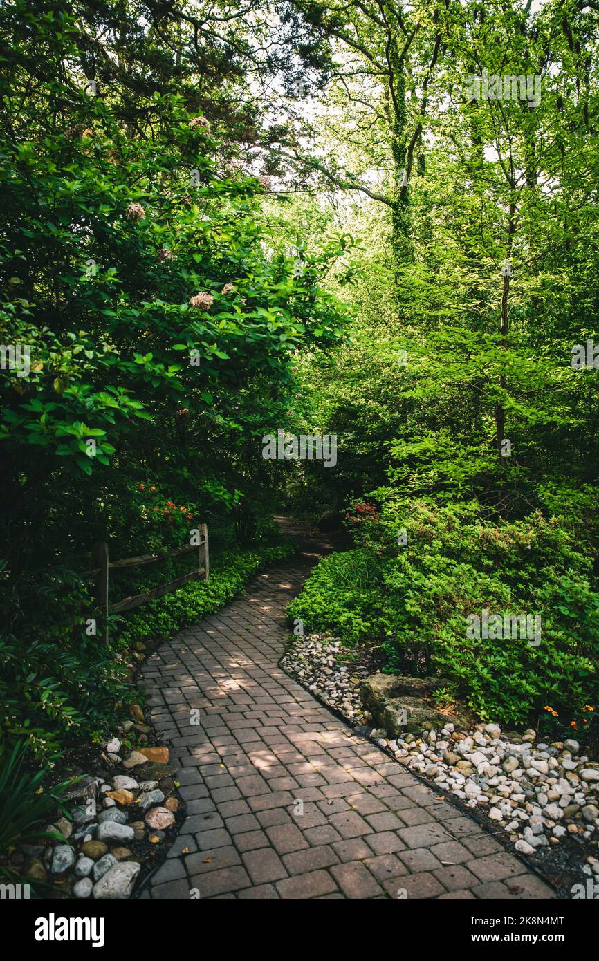 A vertical view of the pathway and trees of a botanical garden Stock ...