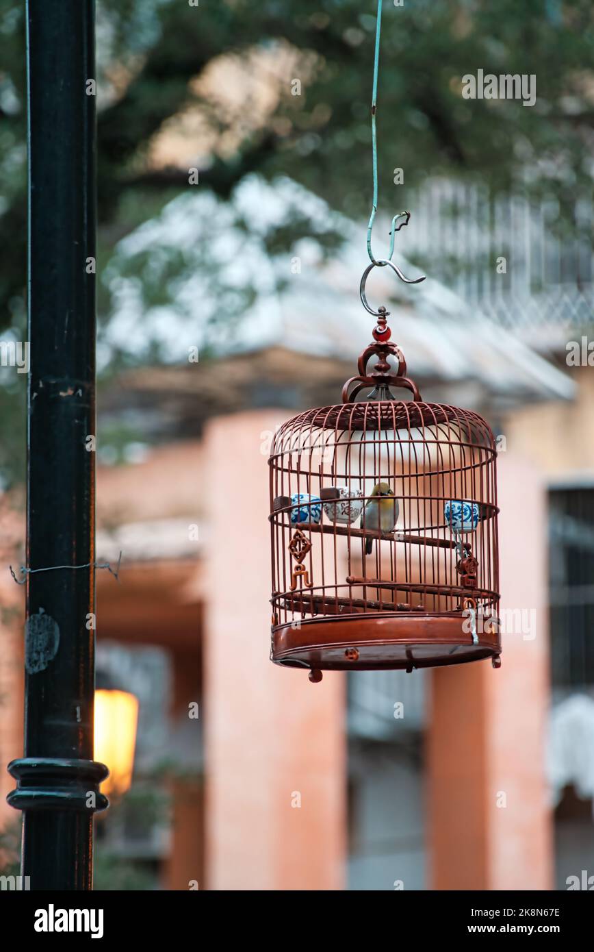 A vertical shot of a bird cage, a lightpole and a building with a tree ...