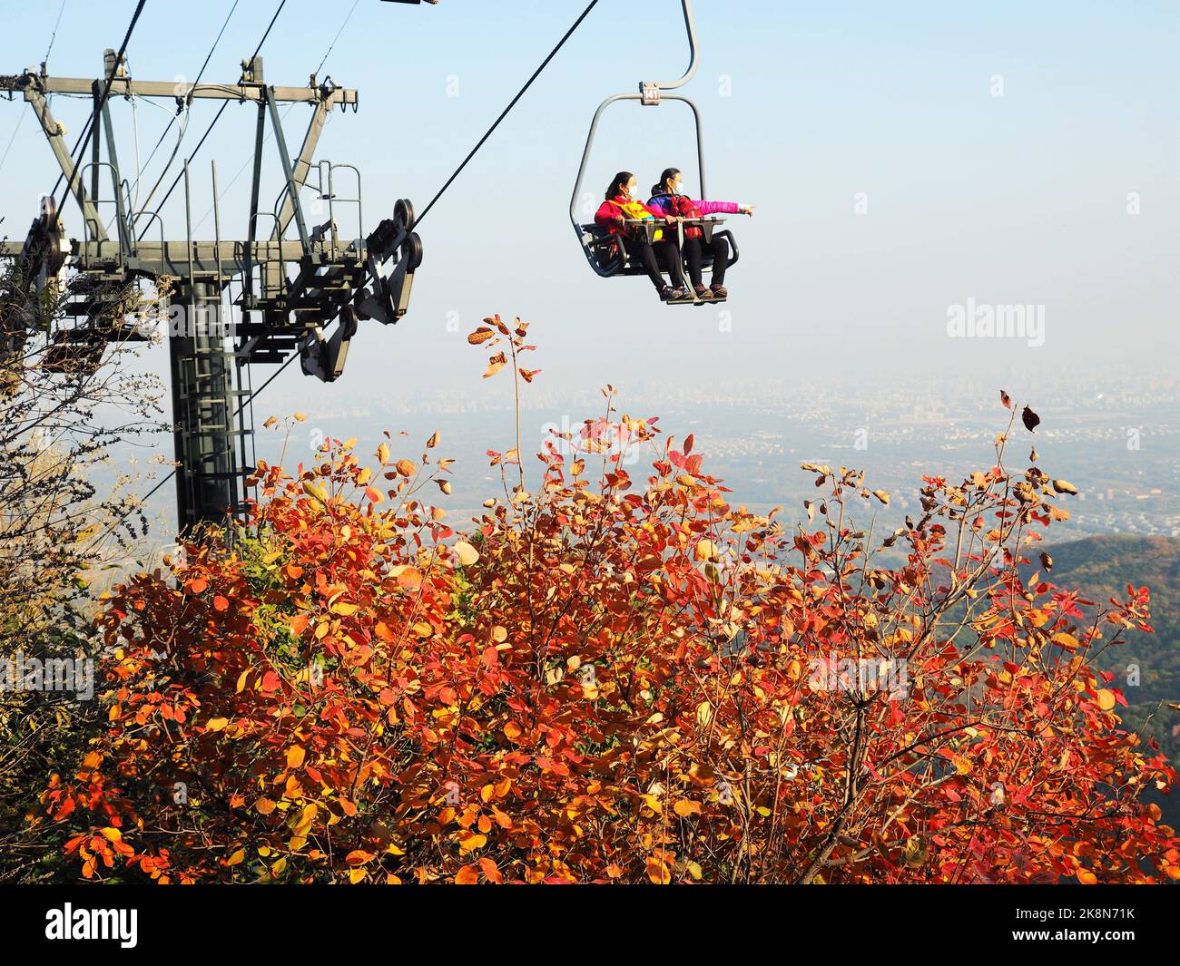 BEIJING, CHINA - OCTOBER 24, 2022 - Visitors view red leaves during ...