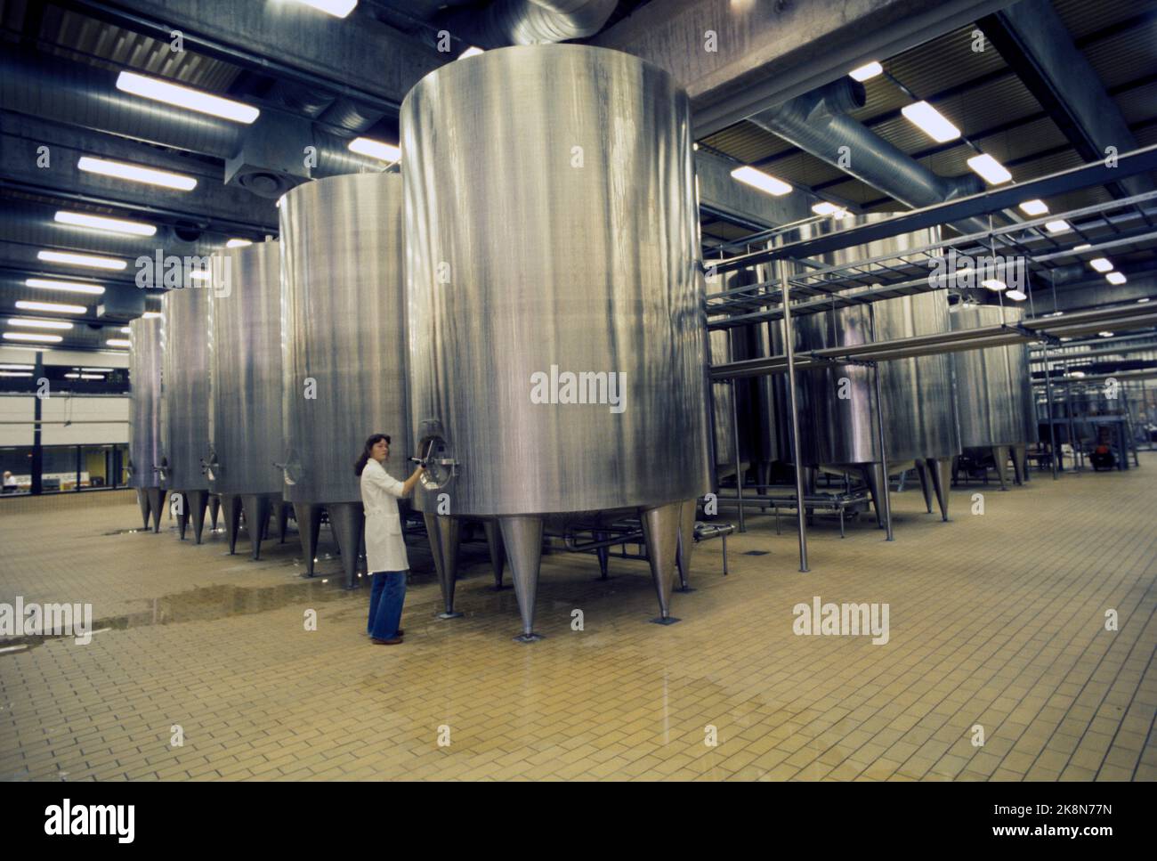 Oslo 19770922. The joint dairy in Oslo: From the production hall. Milk ...