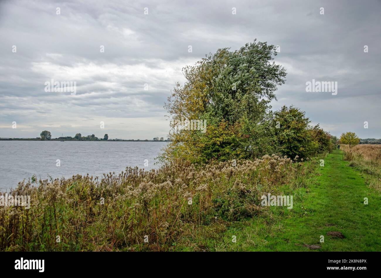 Grassy and muddy hiking trail along Haringvliet estuary on the island ...
