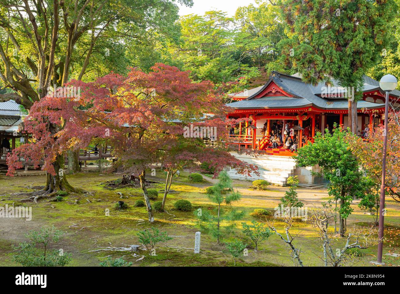 Kyoto, NOV 16 2013 - Sunny view of the beautiful fall color in Daikaku ...