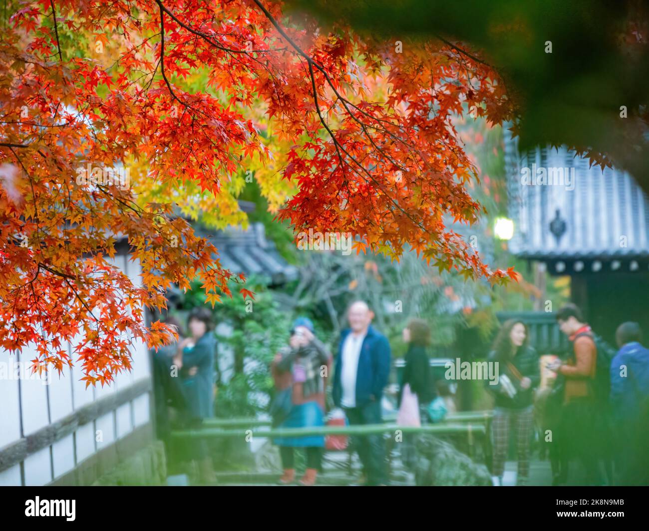 Kyoto, NOV 15 2013 - Beautiful fall color near the Tenju-an Temple ...