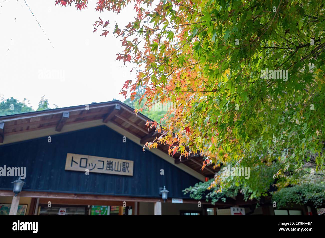 Torokko train hi-res stock photography and images - Alamy