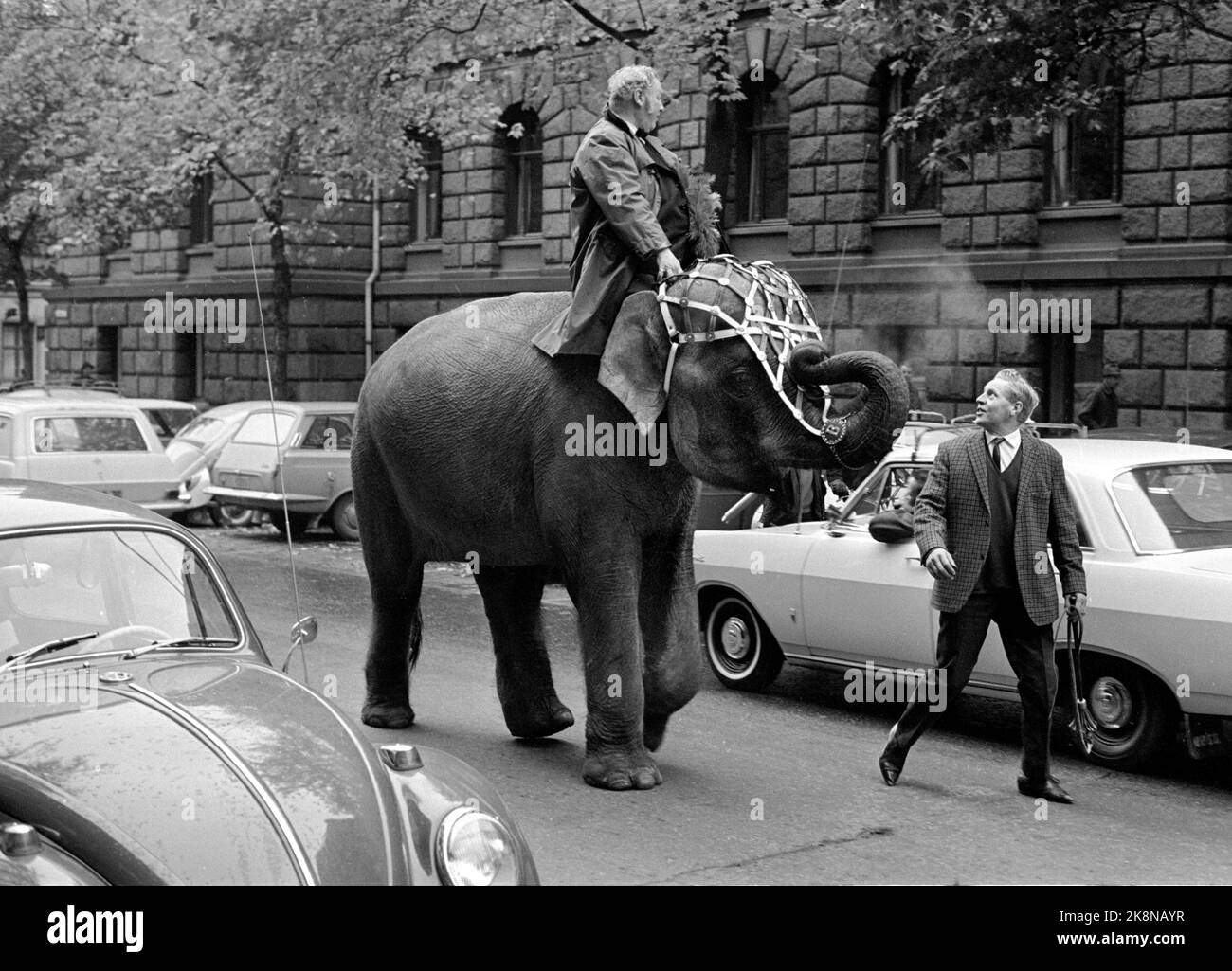 Oslo 19661013 Circus Director Arne Arnardo came riding to the Oslo ...