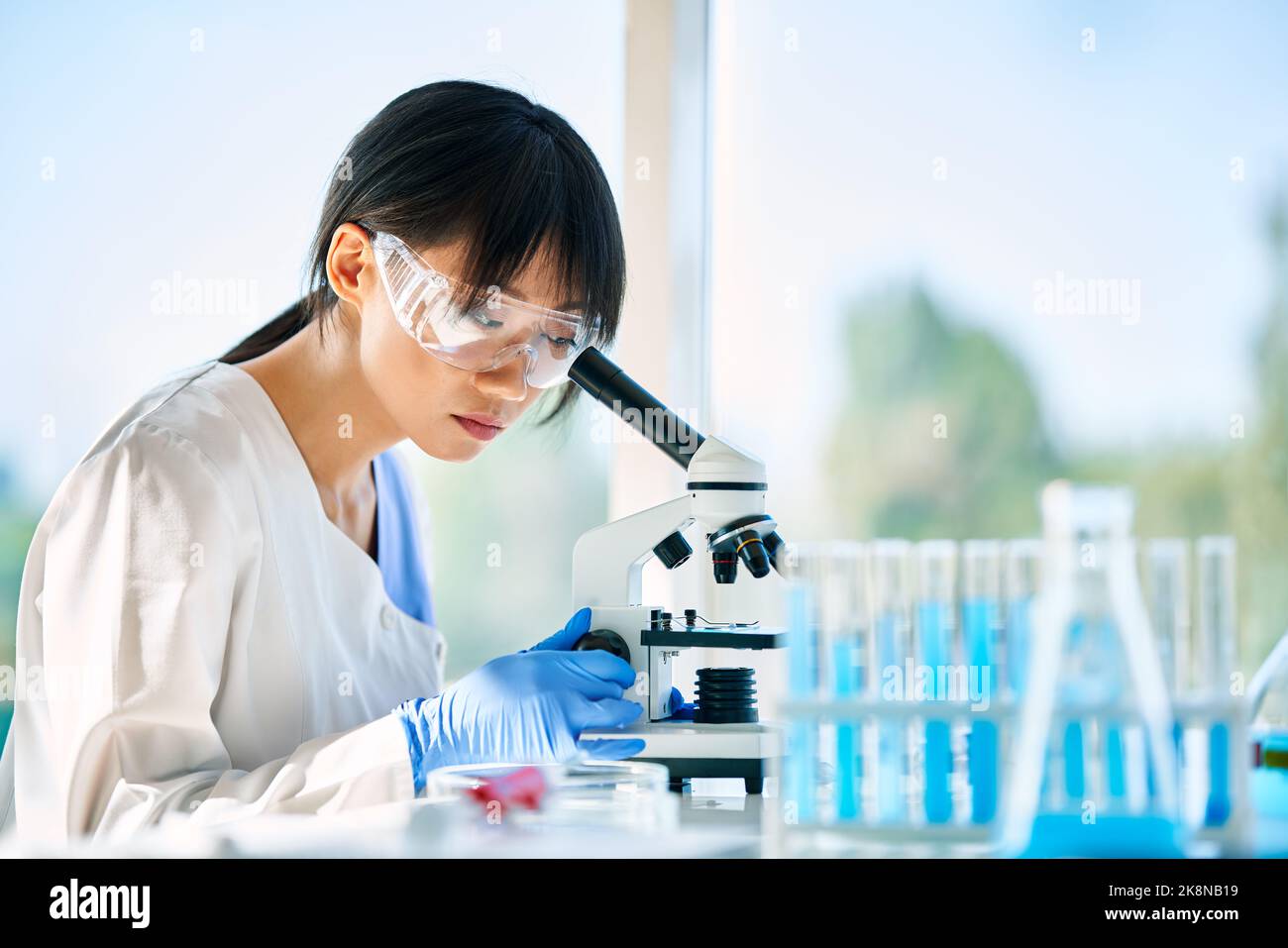 Portrait of asian scientist looking through a microscope working on ...