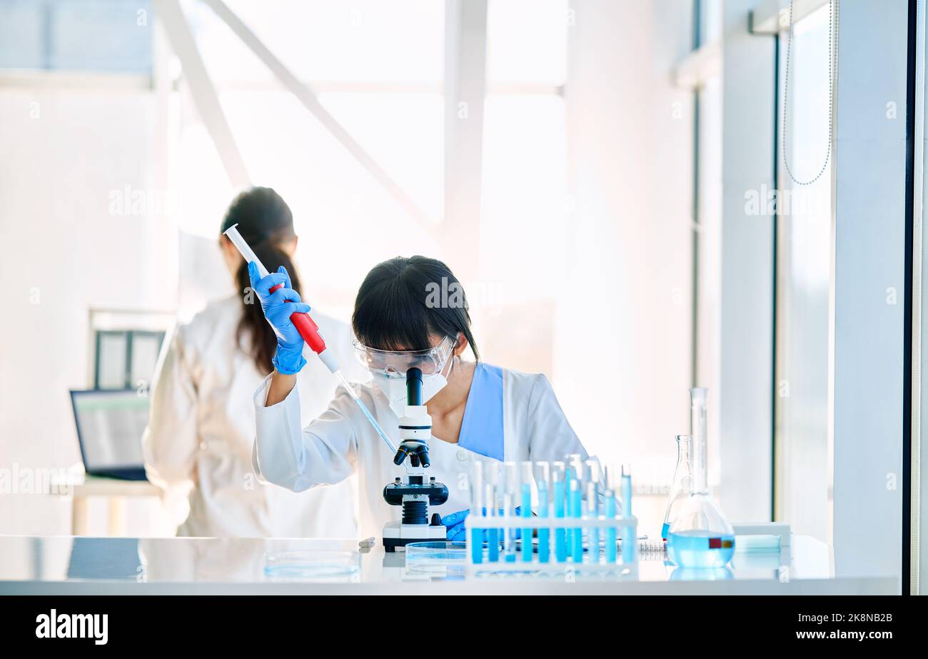Beautiful female scientist preparing and analyzing microscope slides ...
