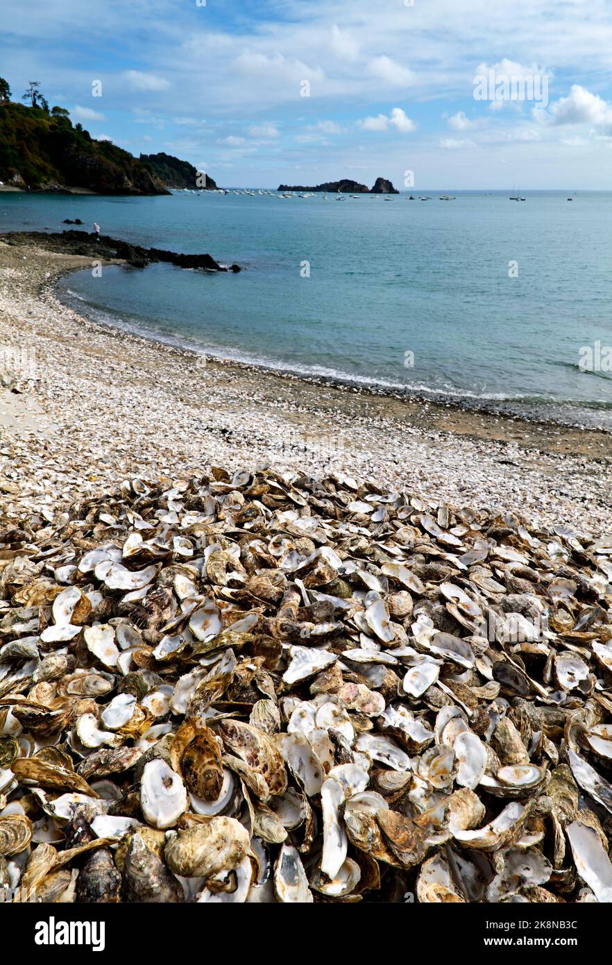 Cancale Brittany France. Oysters shells on the beach Stock Photo - Alamy