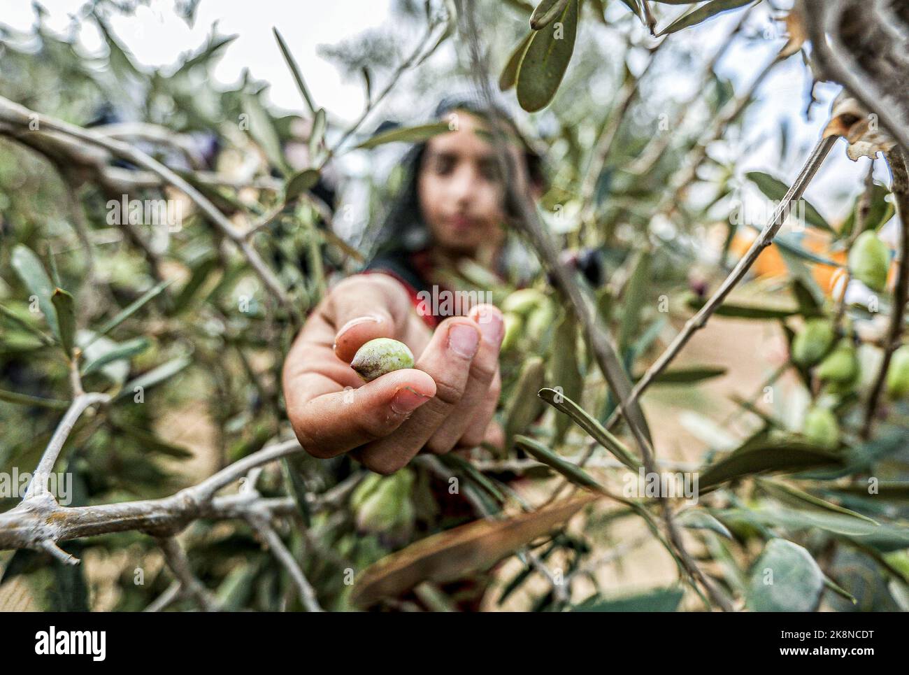 Gaza, Palestine. 23rd Oct, 2022. A Palestinian girl wearing traditional ...