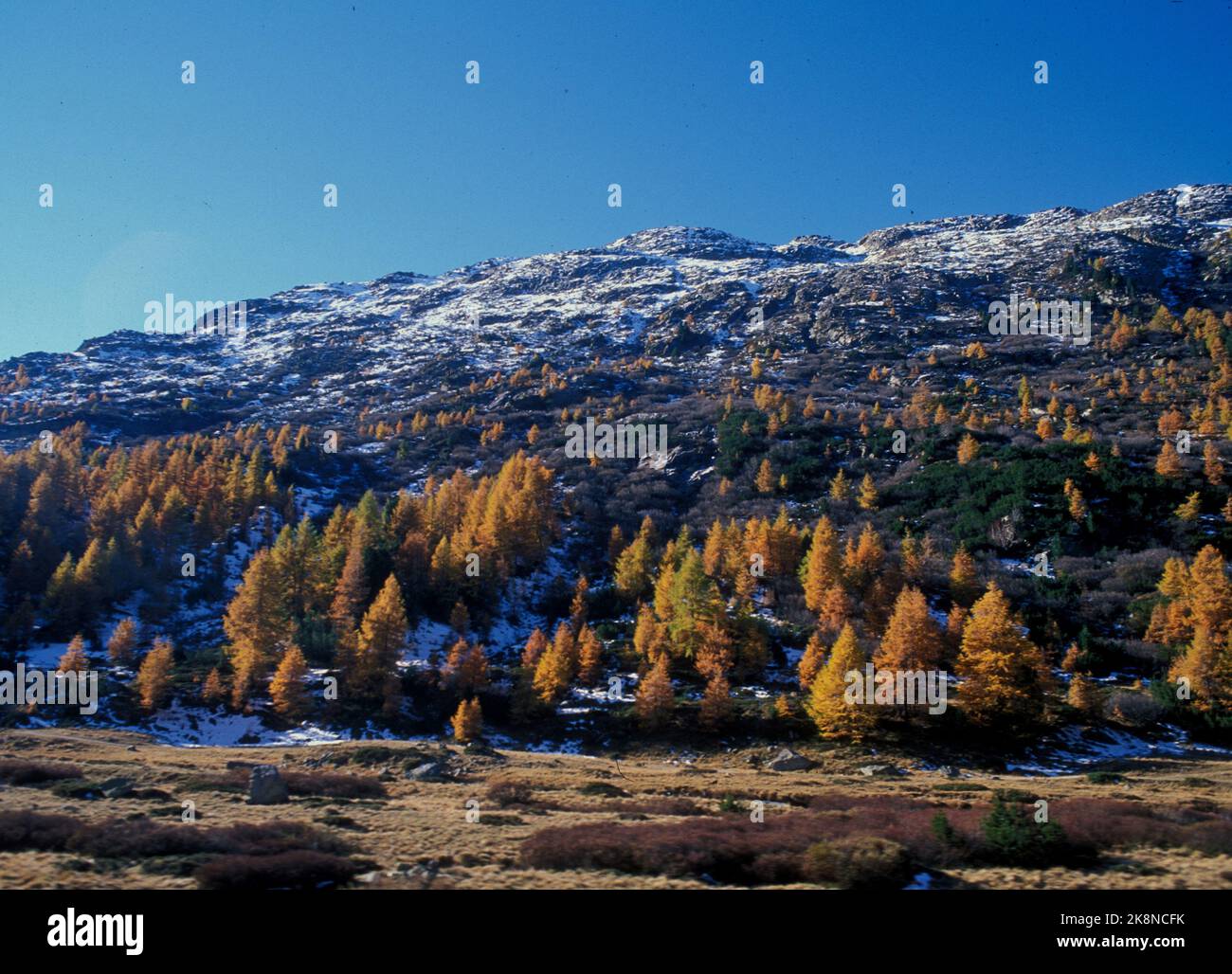 Engadiner alpen hi-res stock photography and images - Alamy