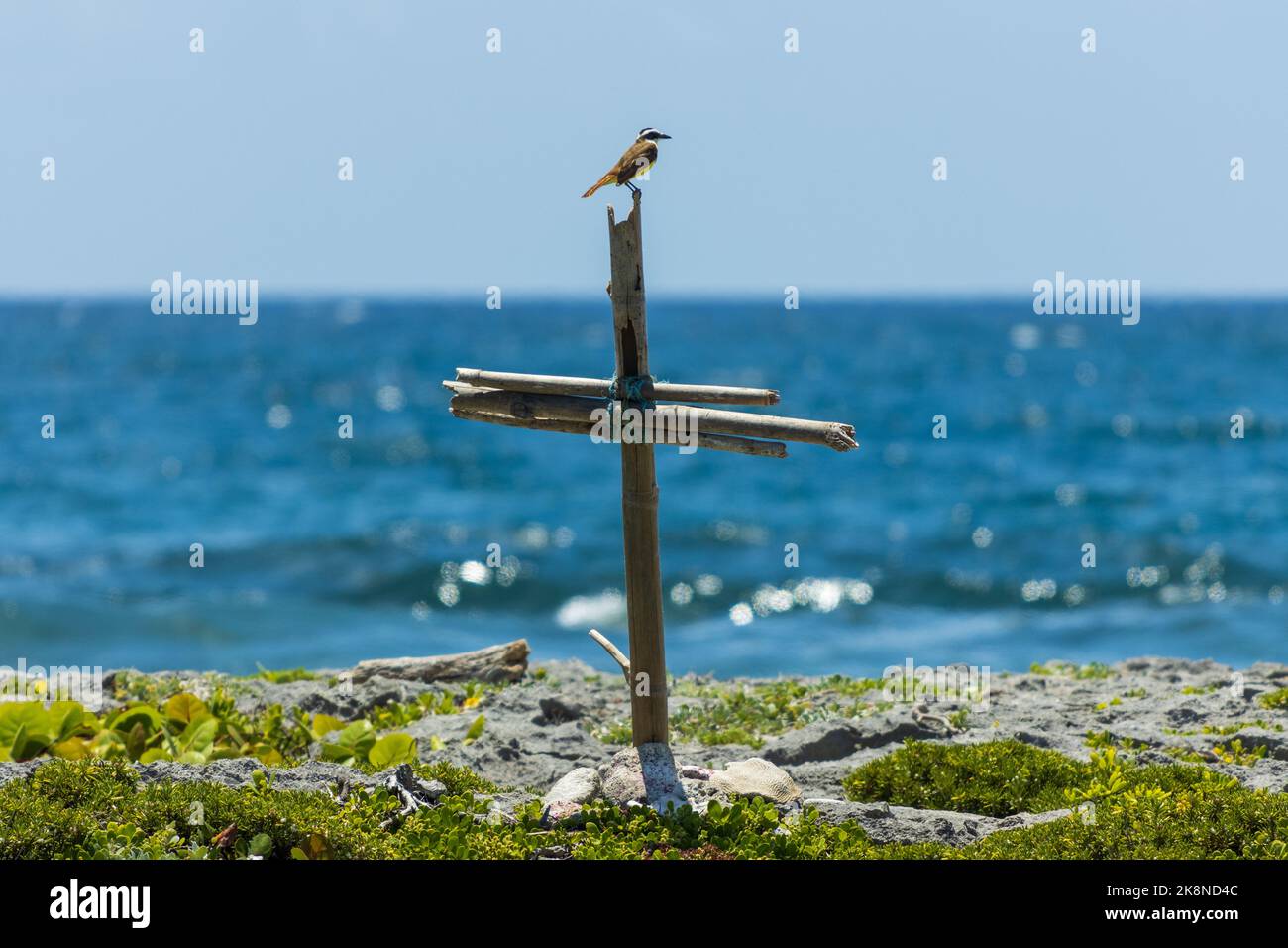 Bird on a cross hi-res stock photography and images - Alamy